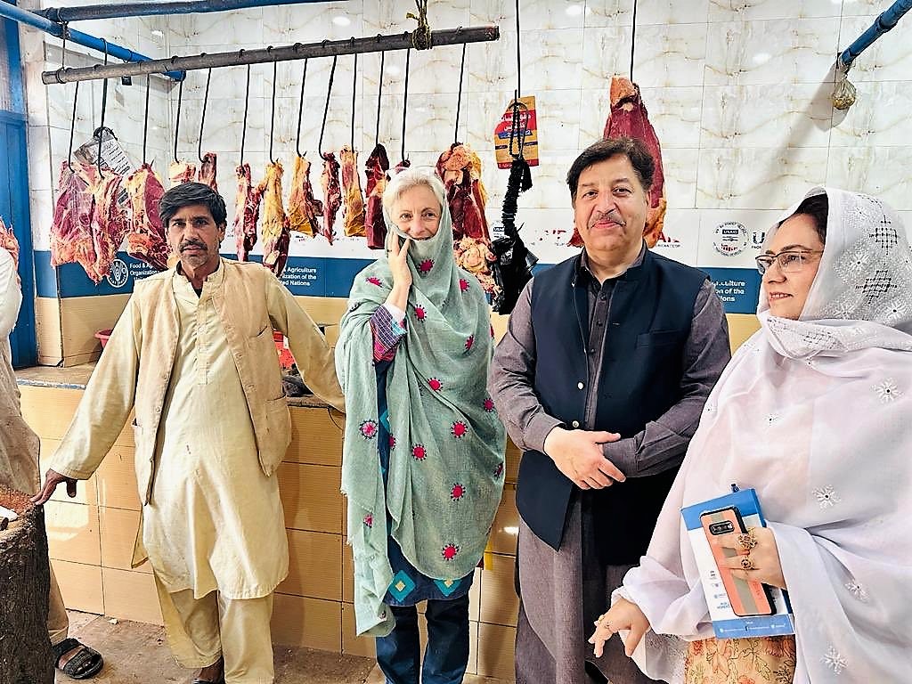 News | FAO in Pakistan | 联合国粮食及 农业组织