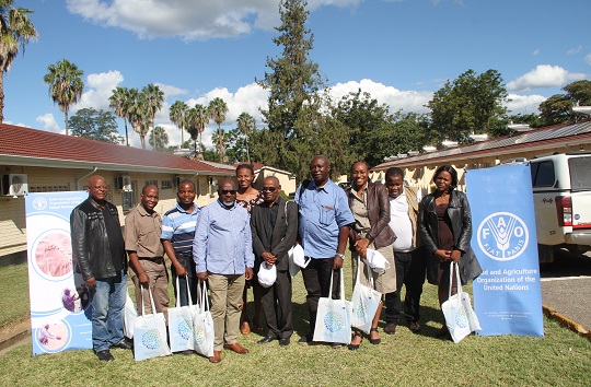 FAO in Zimbabwe | Продовольственная и сельскохозяйственная организация ...