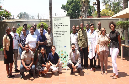 FAO in Zimbabwe | Food and Agriculture Organization of the United Nations