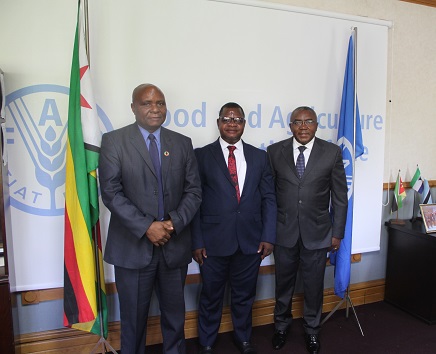 FAO in Zimbabwe | Food and Agriculture Organization of the United Nations