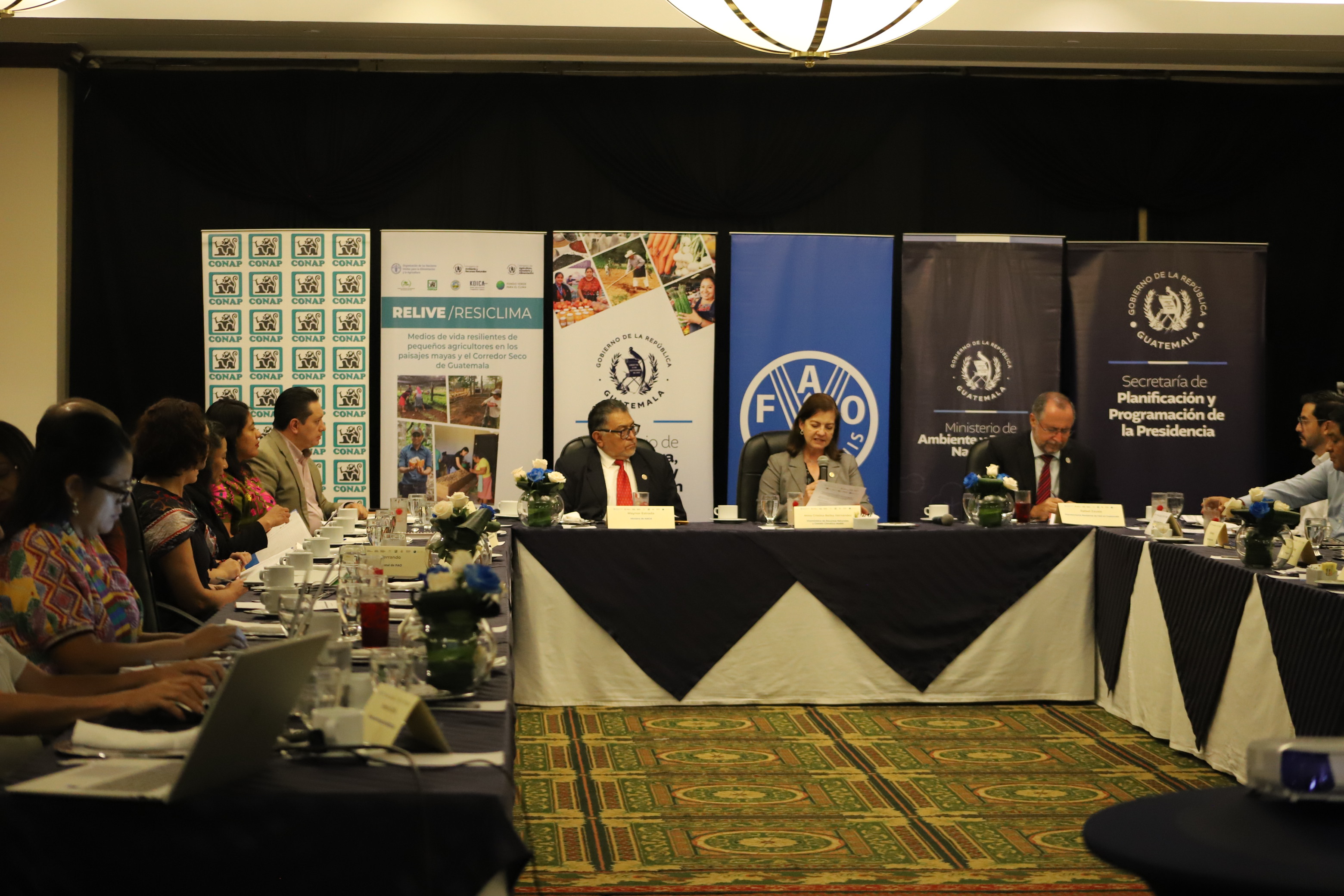 Organización de las Naciones Unidas para la Alimentación y la ...