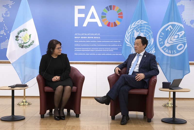 Organización de las Naciones Unidas para la Alimentación y la ...