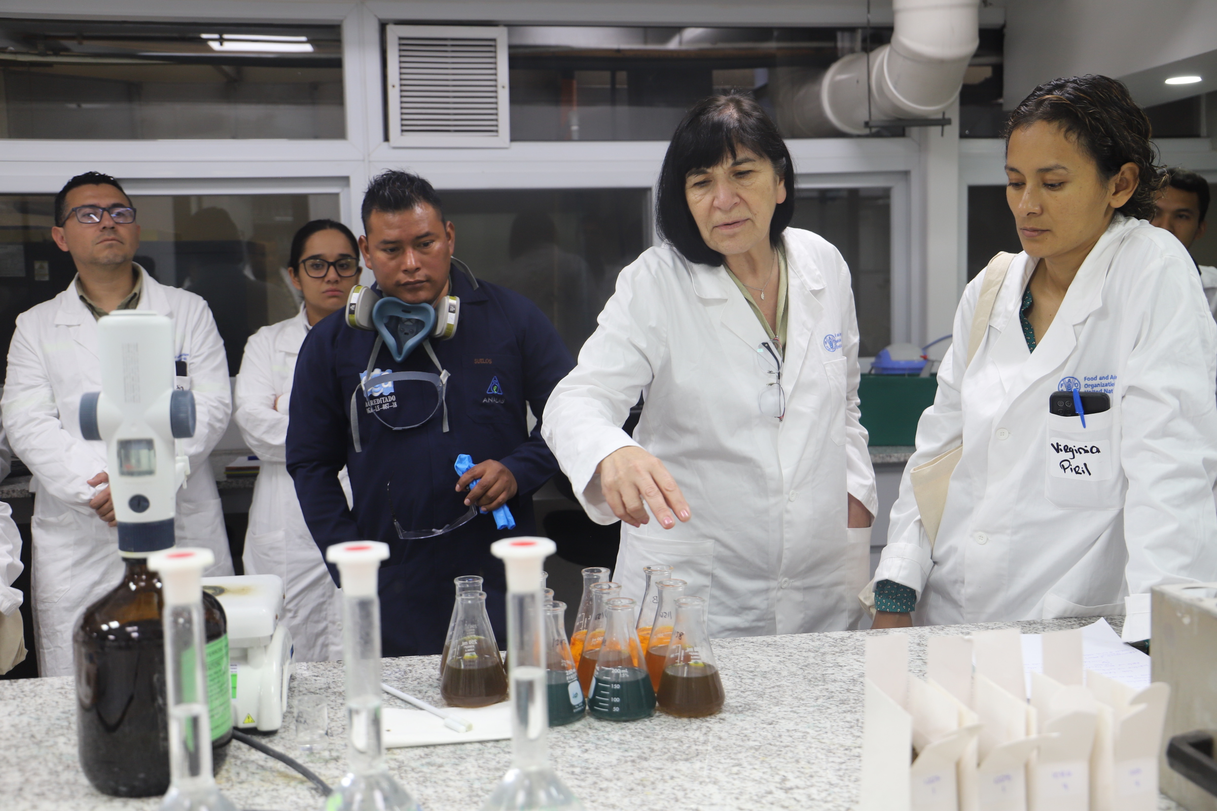 Organización de las Naciones Unidas para la Alimentación y la ...