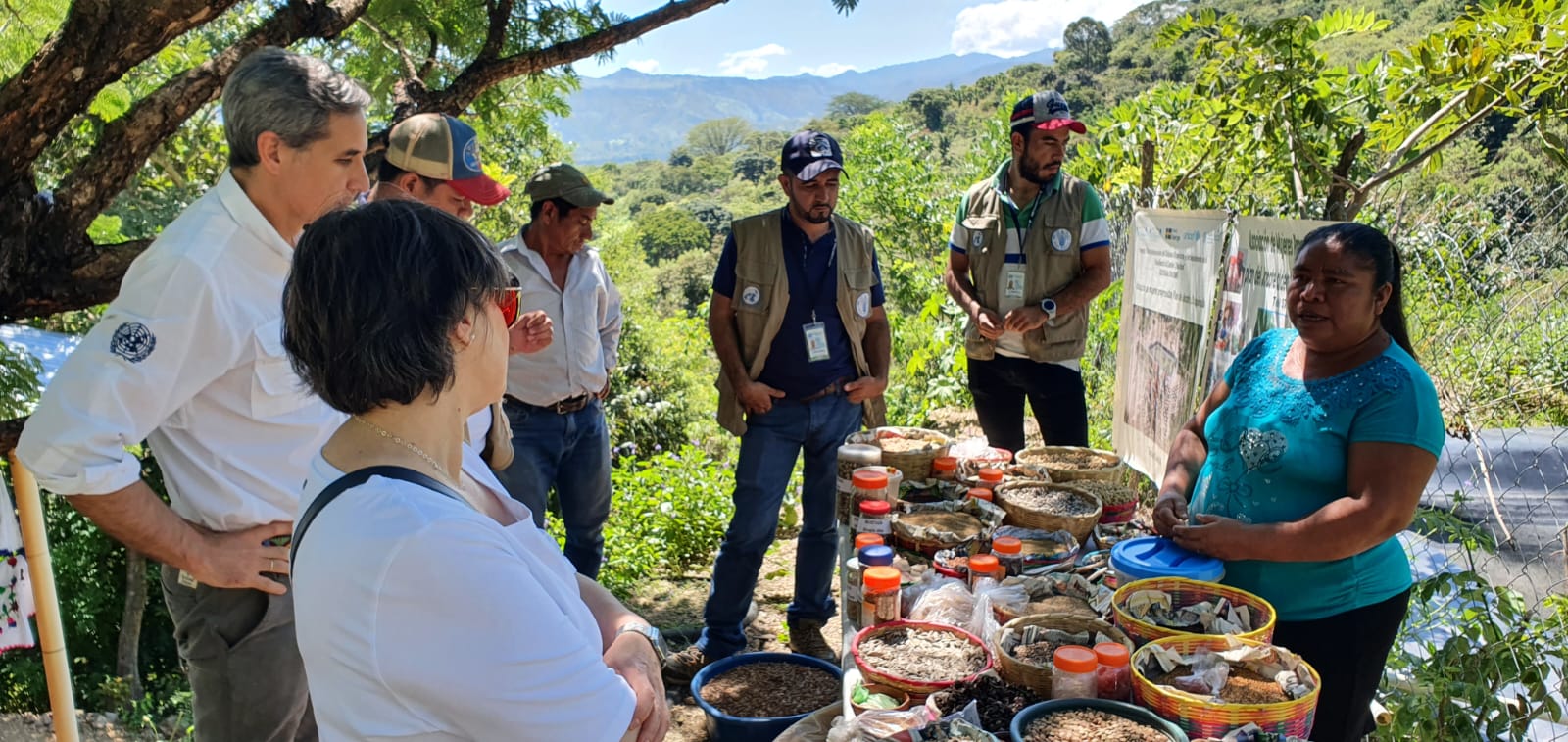 Organización de las Naciones Unidas para la Alimentación y la ...