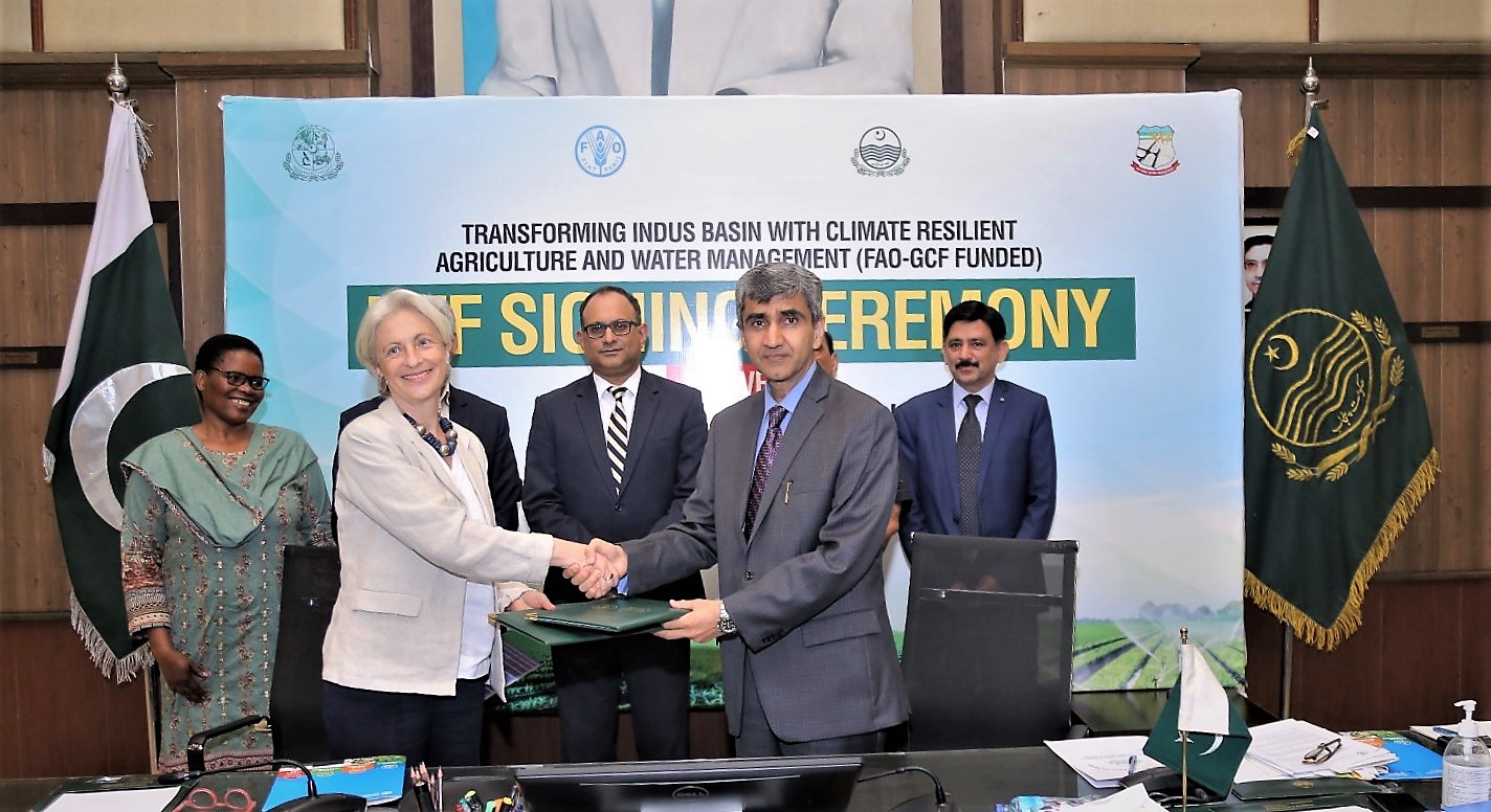 News | FAO in Pakistan | منظمة الأغذية والزراعة للأمم المتحدة