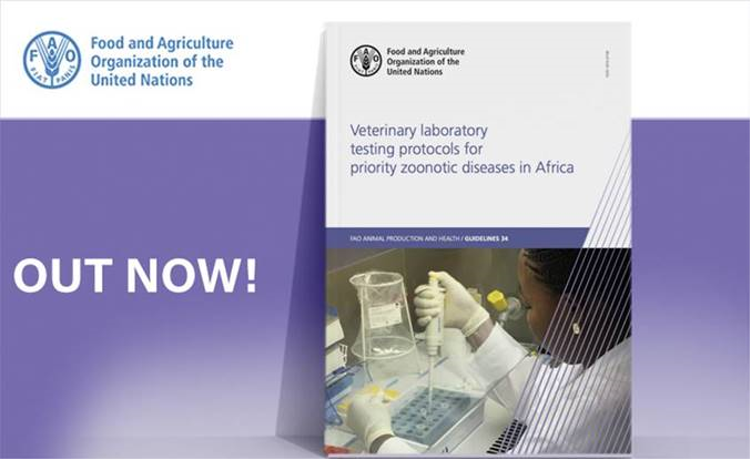 FAO in Ghana | Food and Agriculture Organization of the United Nations