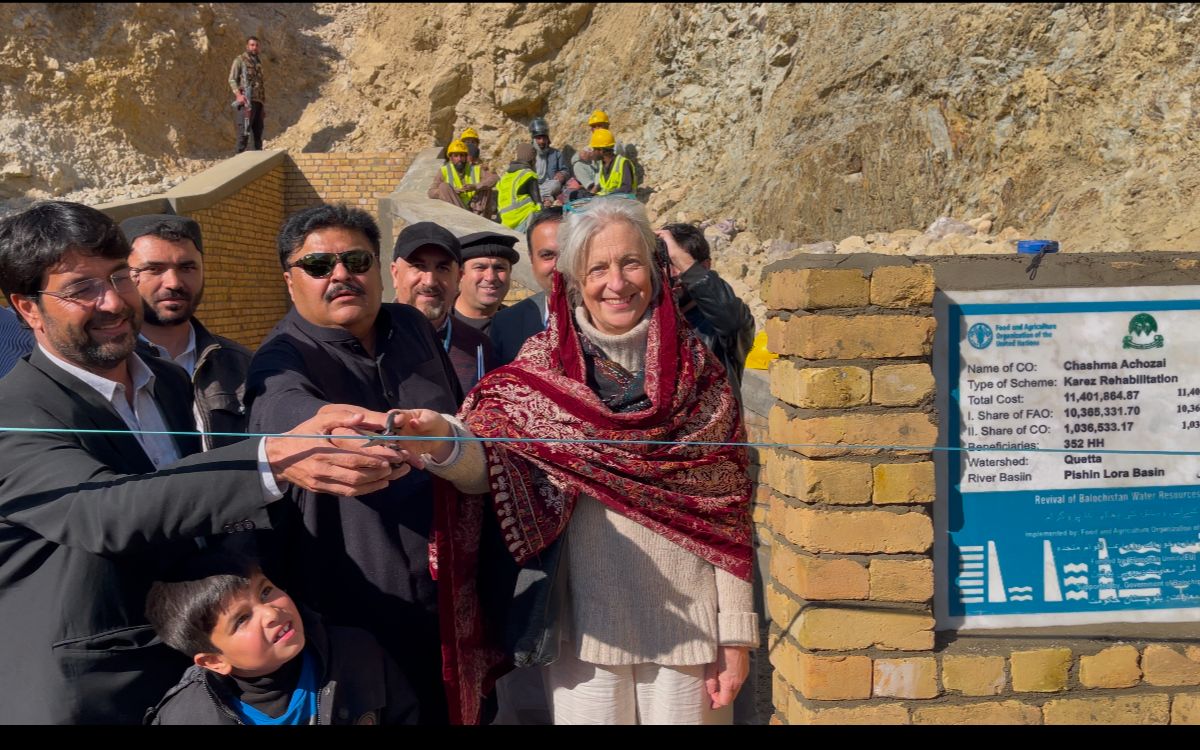 News | FAO in Pakistan | Food and Agriculture Organization of the ...