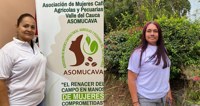 Organización de las Naciones Unidas para la Alimentación y la ...