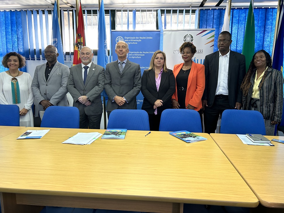 FAO in Mozambique | Food and Agriculture Organization of the United Nations