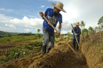 Contour farming puts farmers back on the path to recovery | FAO in the ...