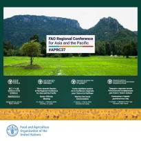 Viet Nam to participate in high-level international UN FAO conference ...