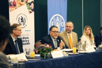 Organización de las Naciones Unidas para la Alimentación y la ...
