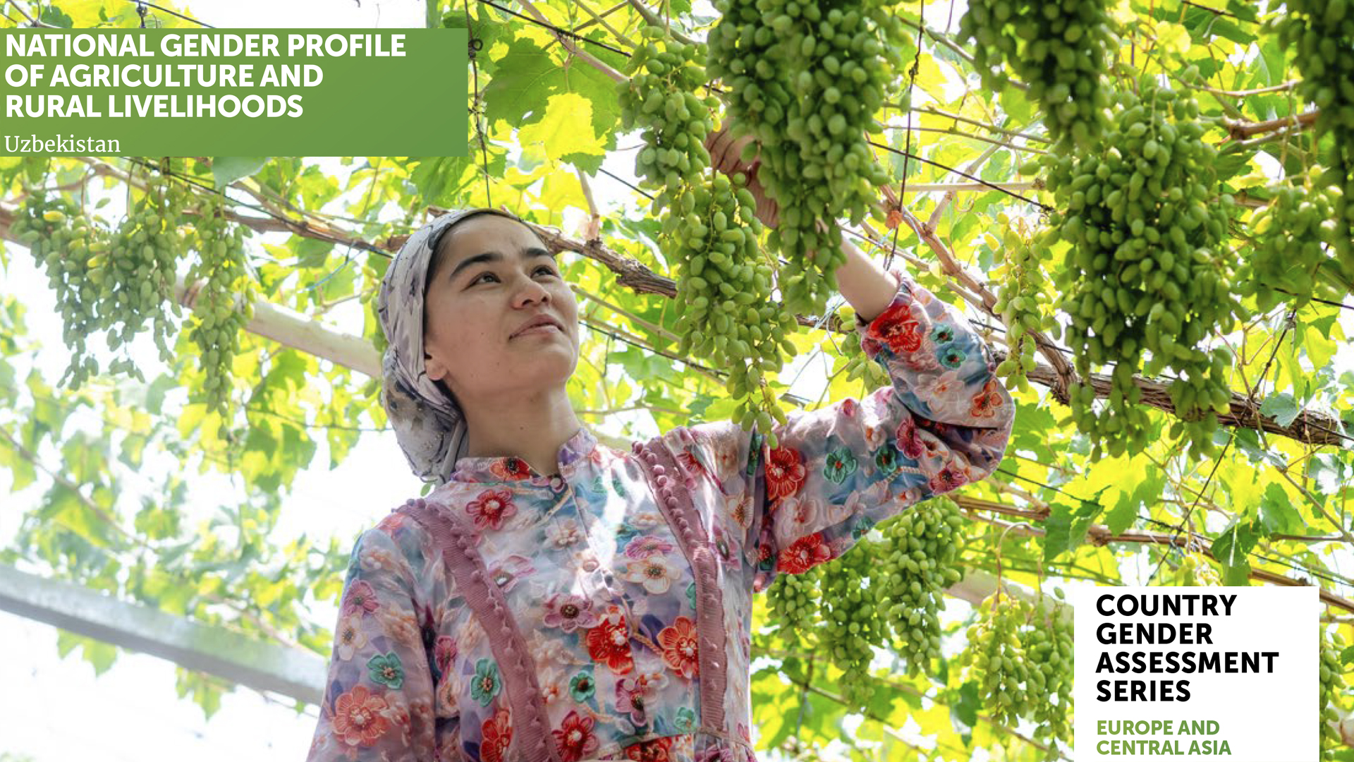 FAO Country Profiles | National Gender Profile of Agriculture and Rural ...