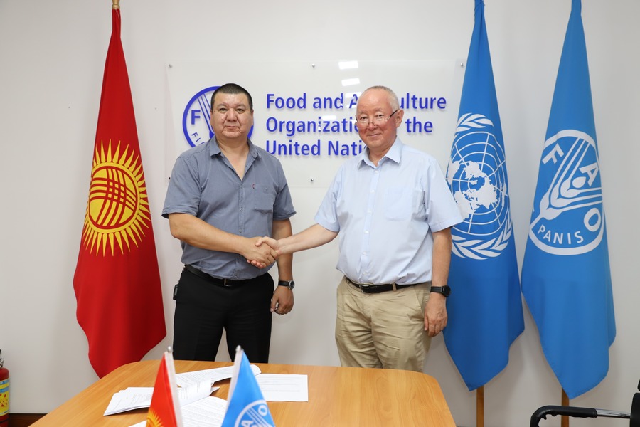 FAO Country Profiles | The FAO project will develop a National Program ...