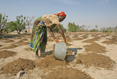 WASAG (Drought Preparedness Working Group) | 土地与水资源 | 联合国粮食及 农业组织 ...