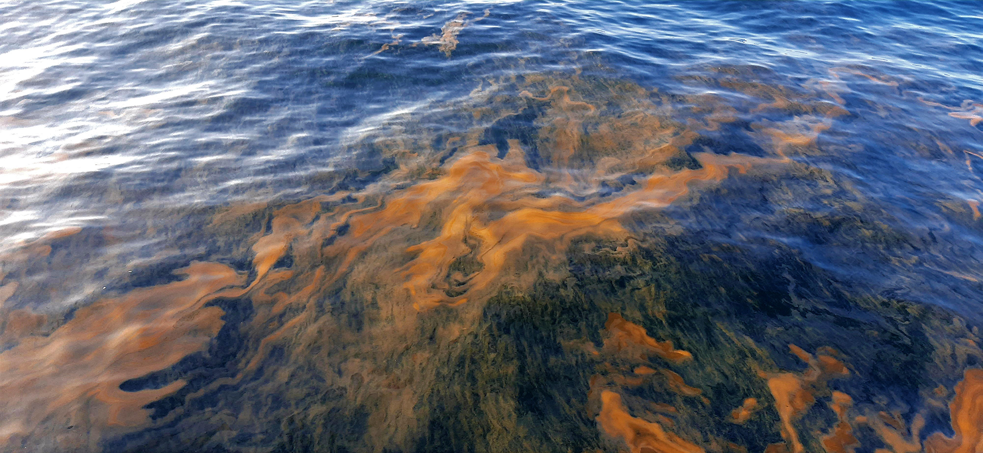 Survey in Namibian waters delivers sea sparkles and high quality data ...