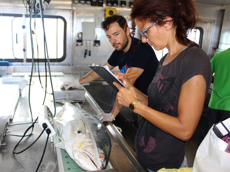 Fish: The “perfect micronutrient” in ensuring global food security and ...