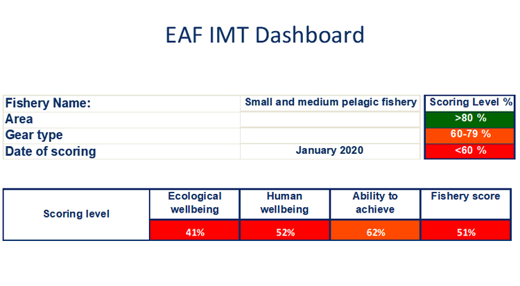 The EAF IMT tool: monitoring progress and achievements of effective ...