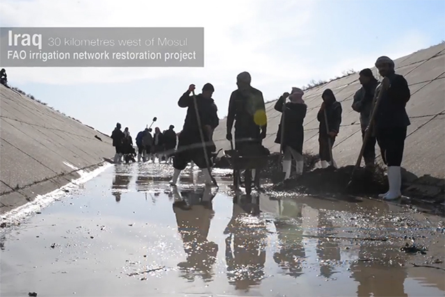 Iraq irrigation project:Demining and repair initiative restores key ...