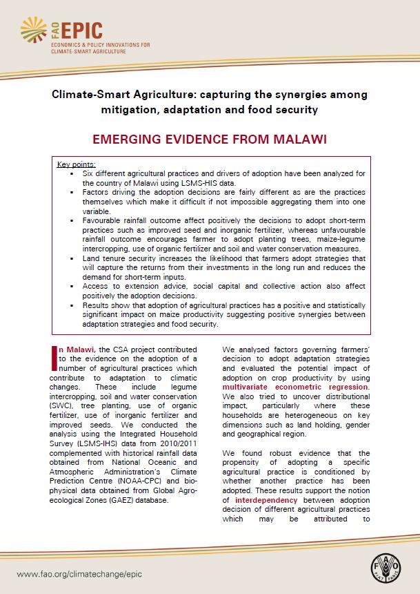 Climate-Smart Agriculture: Emerging evidence from Malawi | Agrifood Economics | Food and ...