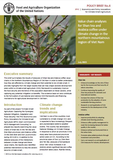 Value chain analyses for Shan tea and Arabica coffee in the northern ...