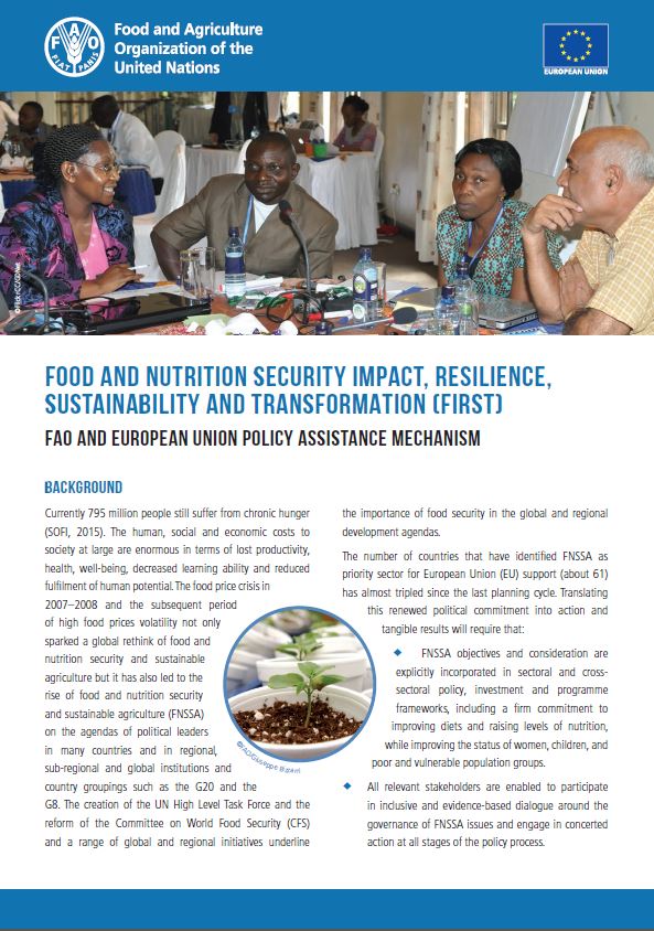 Food and nutrition security impact, resilience, sustainability and ...