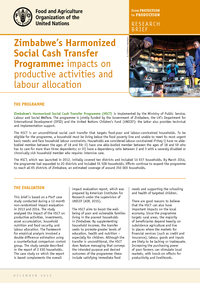Zimbabwe’s Harmonized Social Cash Transfer Programme: impacts on ...
