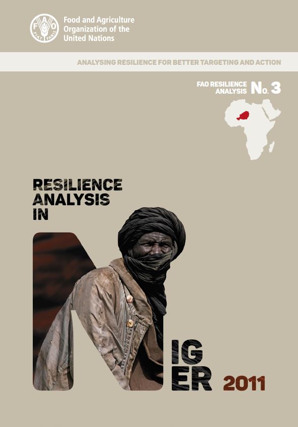 Resilience Analysis In Niger 2011 