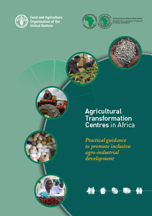 Agricultural Transformation Centres in Africa | Agrifood Economics ...