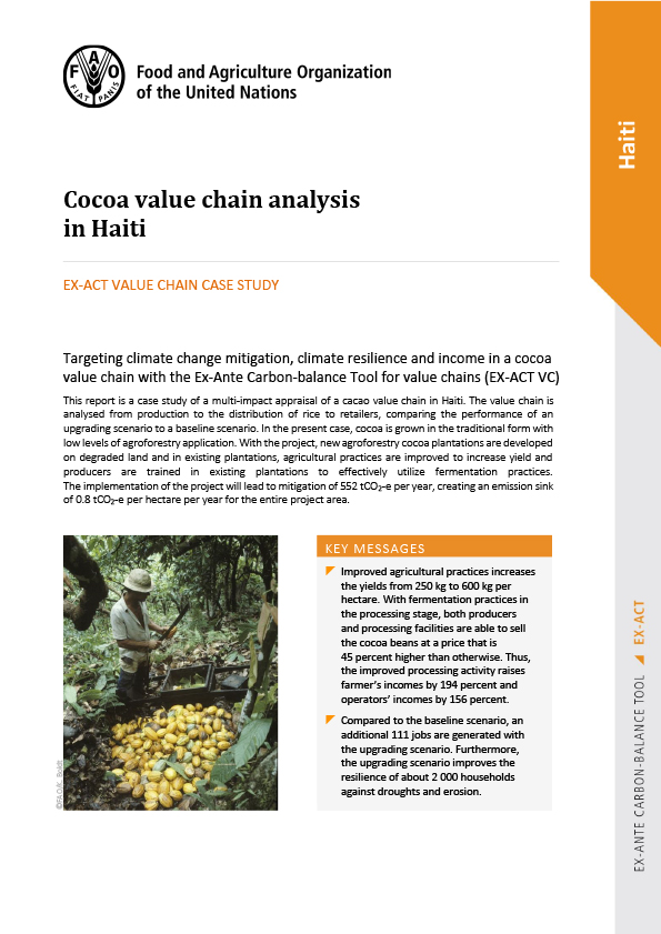 Cocoa value chain analysis in Haiti | Agrifood Economics | Food and ...