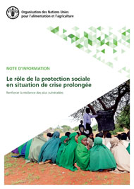 Le rôle de la protection sociale en situation de crise prolongée ...
