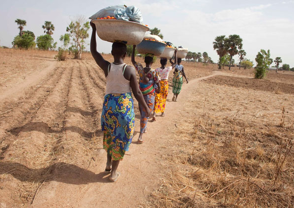 Photogalleries | FAO-EU Partnership | Food and Agriculture Organization ...