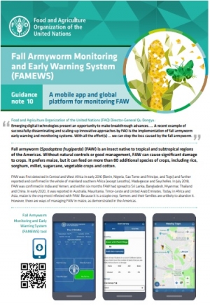 Guidance notes | Global Action for Fall Armyworm Control | Food and ...