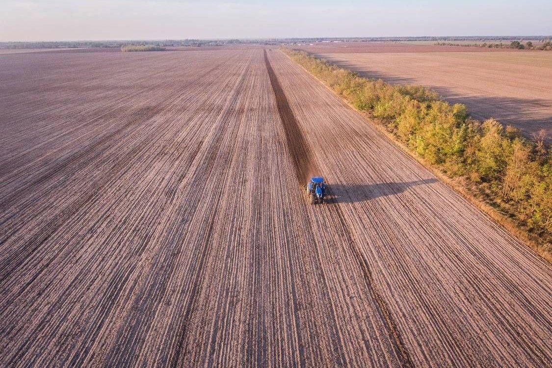 Emine, Francisco, and Andrey are winning the battle against land ...