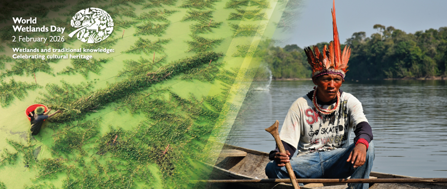World Wetlands Day 2026 “Wetlands and Traditional Knowledge ...