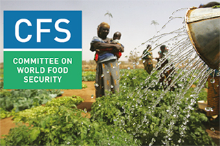 Join today side event at the CFS on "Water tenure approaches for ...