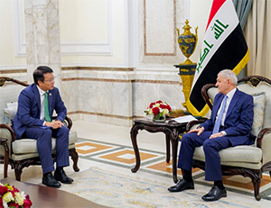 FAO strengthens commitment to Iraq in addressing environmental and ...