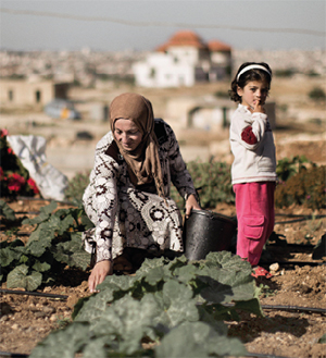 FAO at the 24th International Congress on Irrigation and Drainage ...