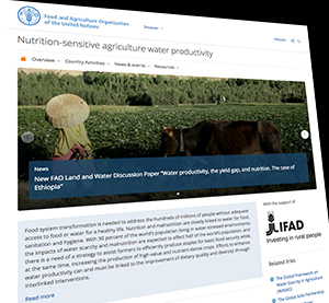 Website launch for new FAO Land and Water project: “Increasing water ...