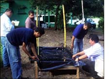 Implementation of urban and peri-urban agriculture in the municipality ...