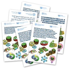 Multilingual Technical Guide on the Responsible Governance of Tenure ...