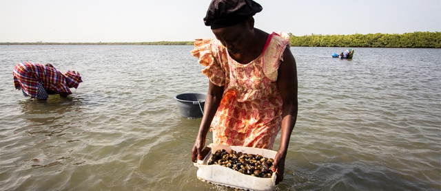 Co-management supported by scientific research for sustainable ...