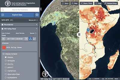 FAO in review: Greater visibility and increased transparency | Director ...