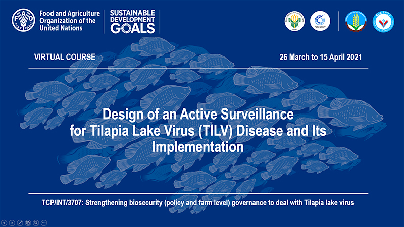 FAO launches a virtual course on the Design of an Active Surveillance ...