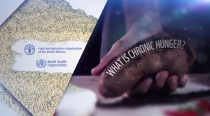 VIDEO: What is chronic hunger? | FAO