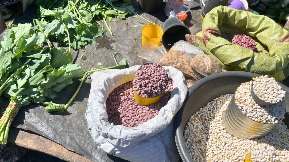 Lusaka's journey towards a resilient and sustainable food system | Food ...