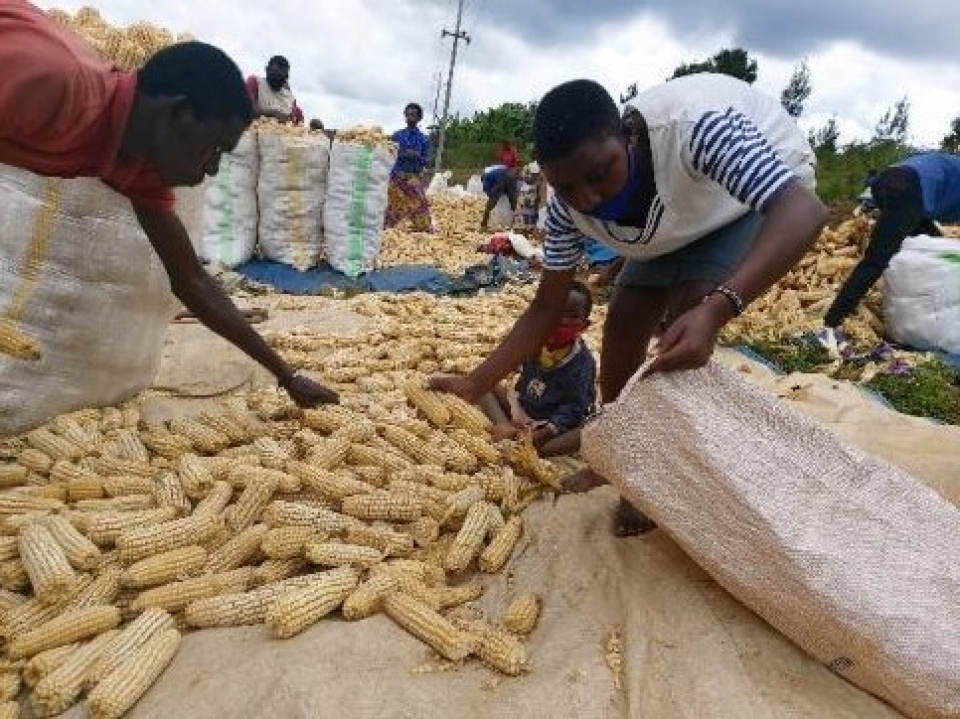 Kick-off Stakeholder Advisory Group meeting to start the planning of ...