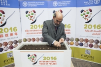 Organização das Nações Unidas para Agricultura e Alimentação: Diretor ...