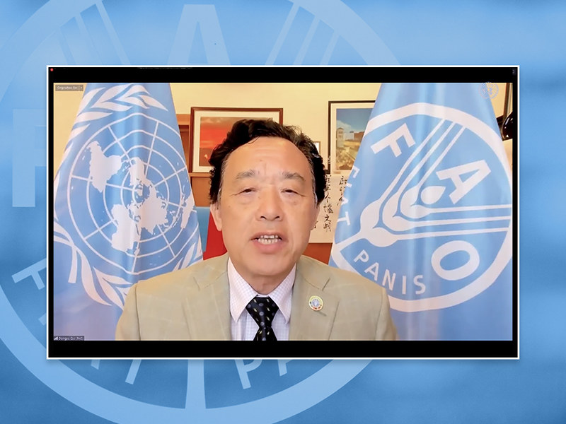 FAO in North America | Food and Agriculture Organization of the United ...