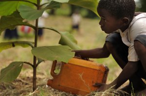 Events | FAO | Food and Agriculture Organization of the United Nations